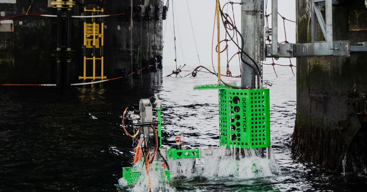 Skilled personnel and collaborative approach key to successful Riser ...